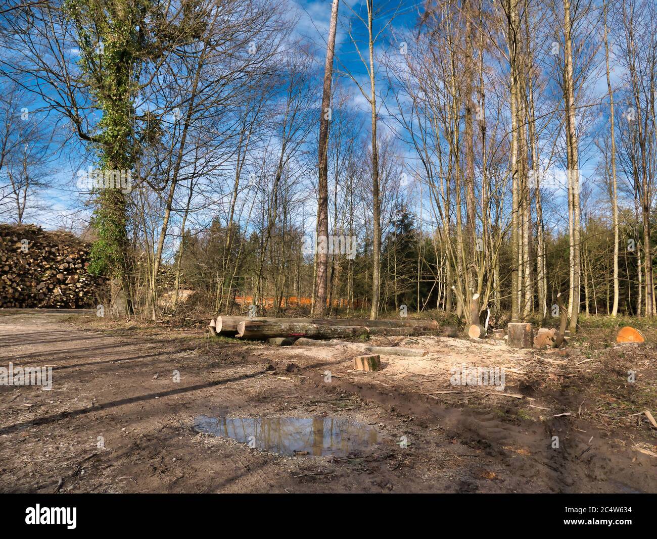 Top down cross section hi-res stock photography and images - Alamy