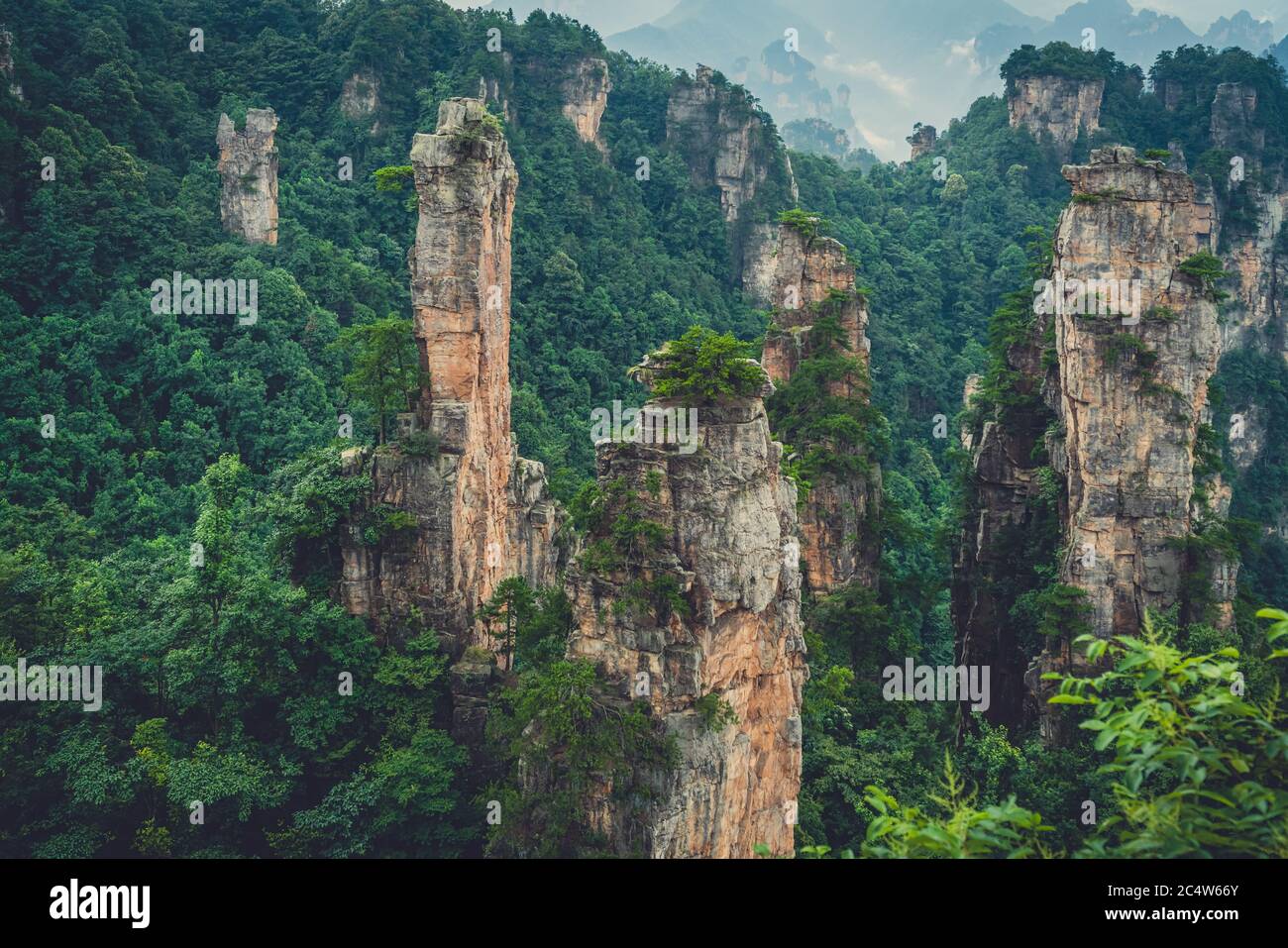 Tianzi Mountains Avatar