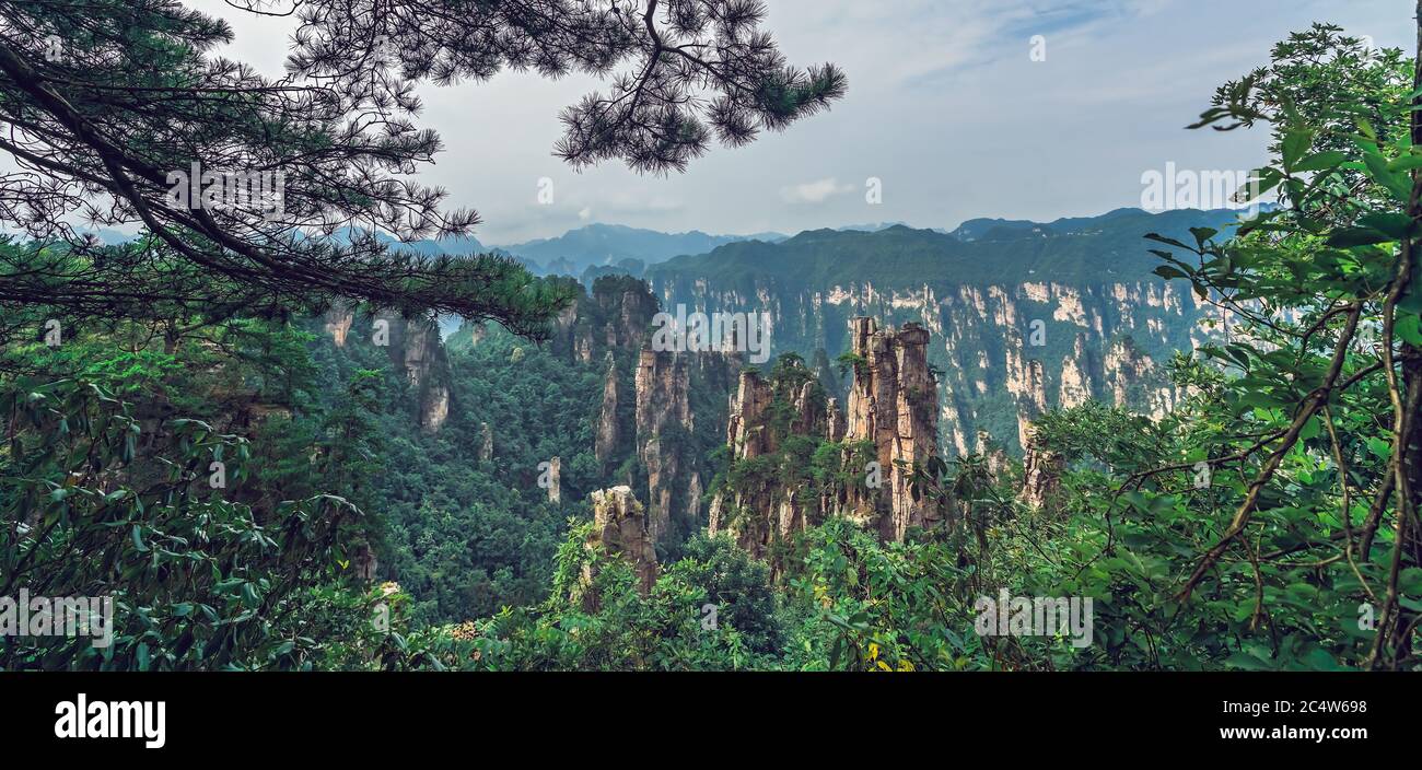 Stunning rock pillars of the tianzi mountain range, Avatar mountains ...