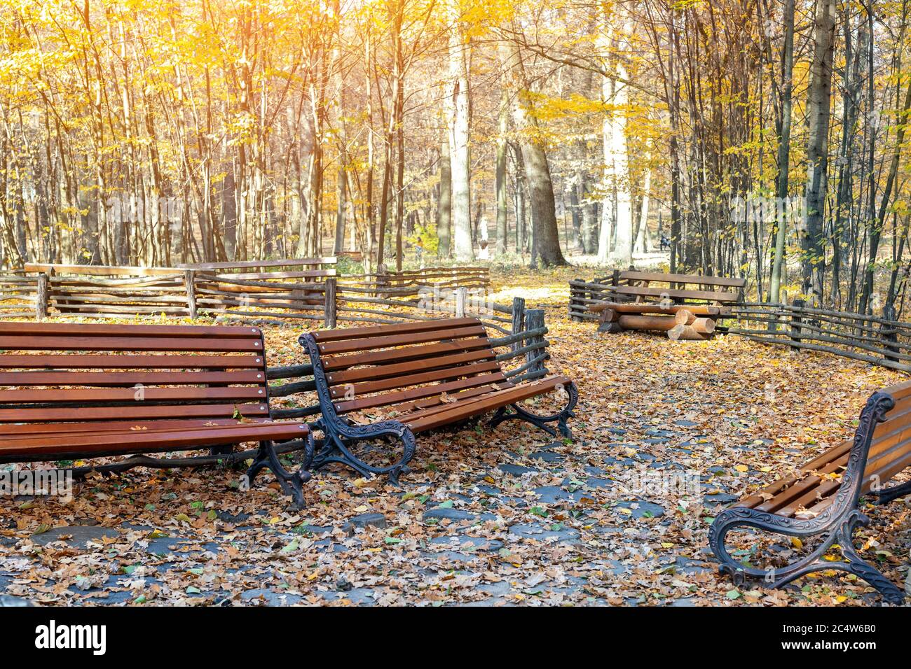 Beautiful scenic alley with benches between trees and golden colored ...