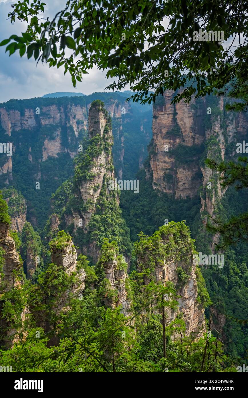 Vertical karst pillar rock formations as seen from the Enchanted ...