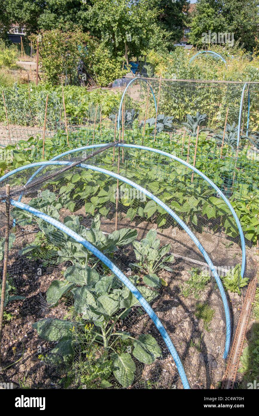 Crop protection hi-res stock photography and images - Alamy