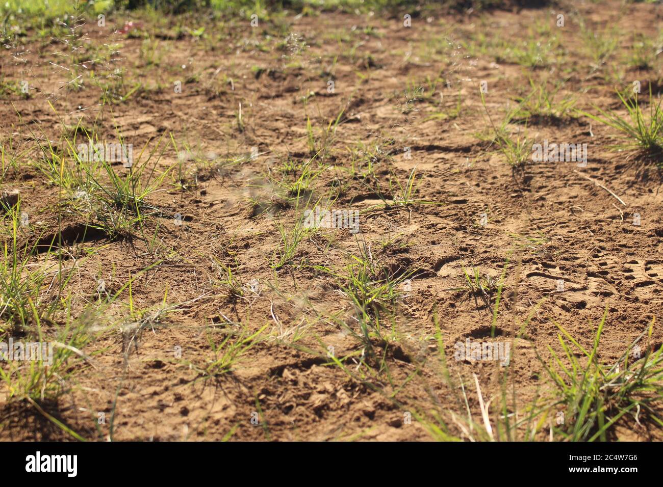 Lots of footprints hi-res stock photography and images - Alamy