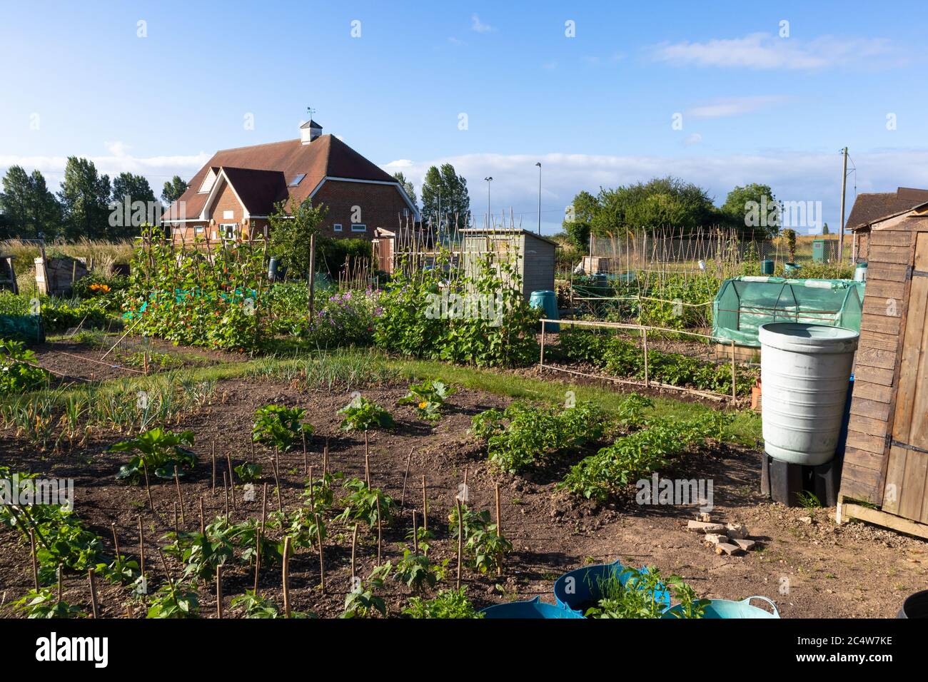 Allotment, hamstreet village, ashford, kent, uk Stock Photo - Alamy