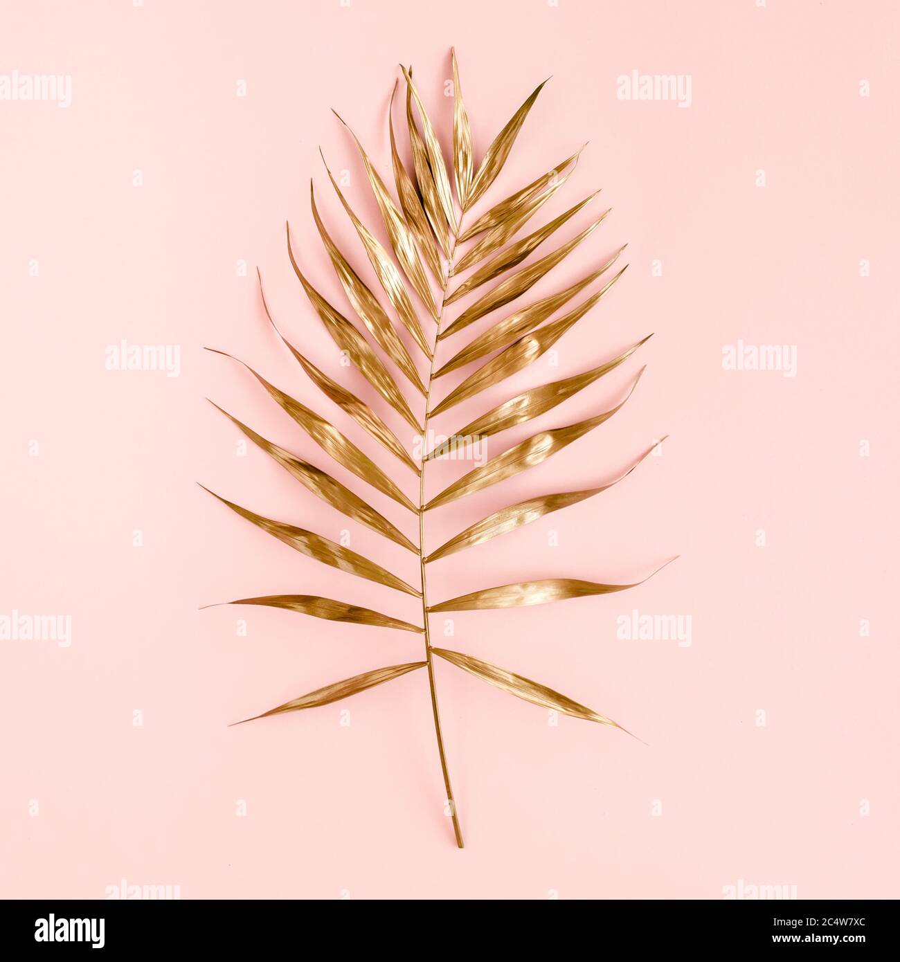 Gold tropical palm leaves on pink background. Flat lay, top view ...
