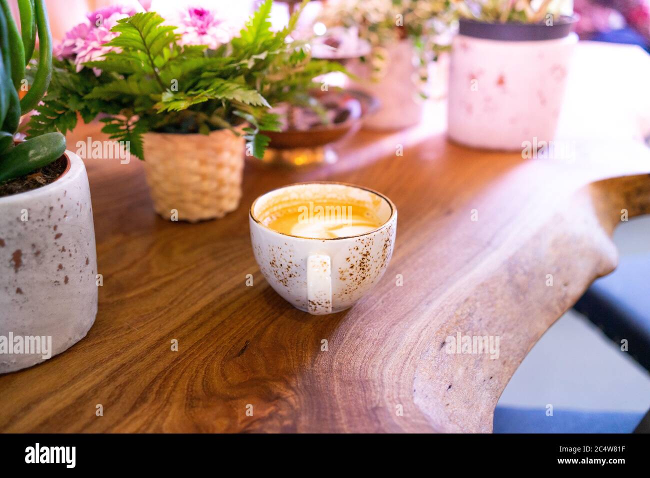 Cup of hot cappucino coffee on the wooden table. Early morning ...