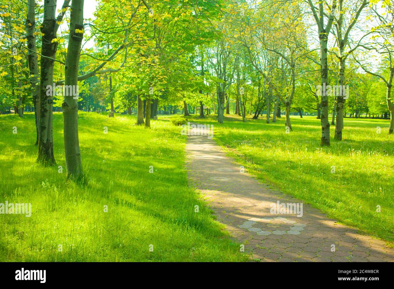 Wide lawn path hi-res stock photography and images - Alamy