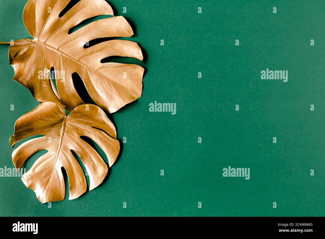 Gold tropical palm leaves Monstera on green background. Flat lay, top ...