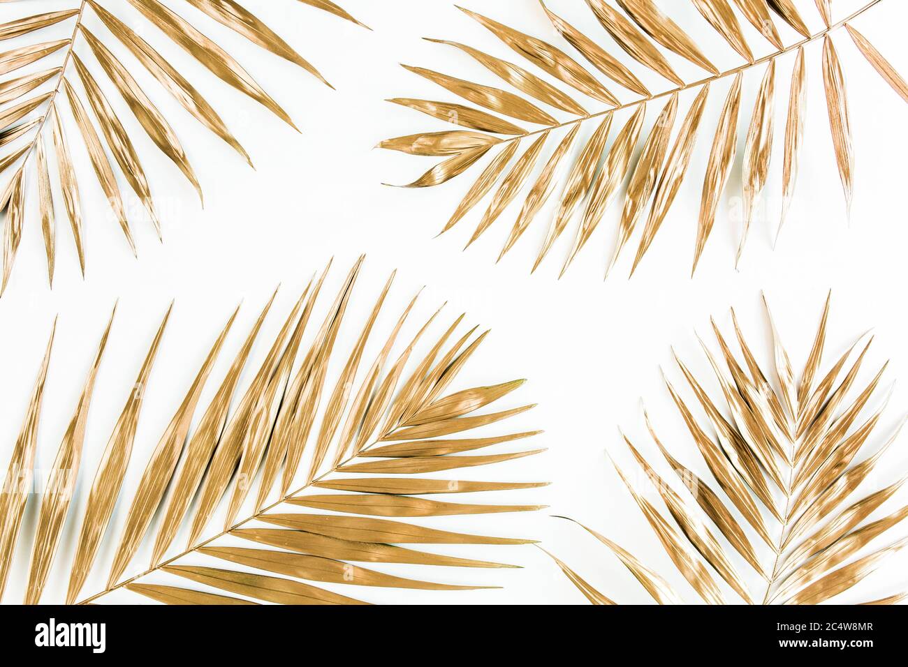 Gold tropical palm leaves on white background. Flat lay, top view ...