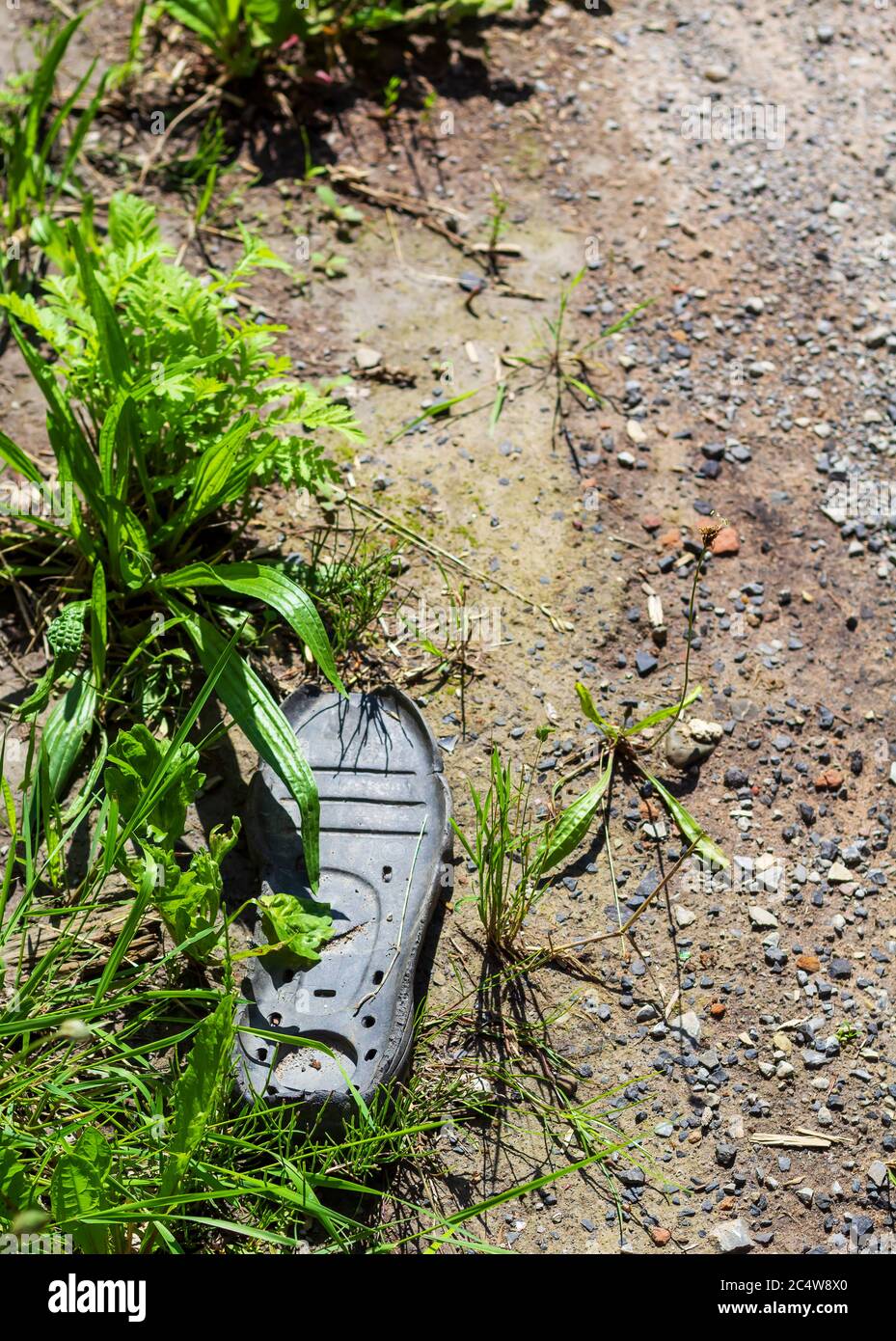 torn off rubber sole of a shoe in the meadow at the roadside Stock ...