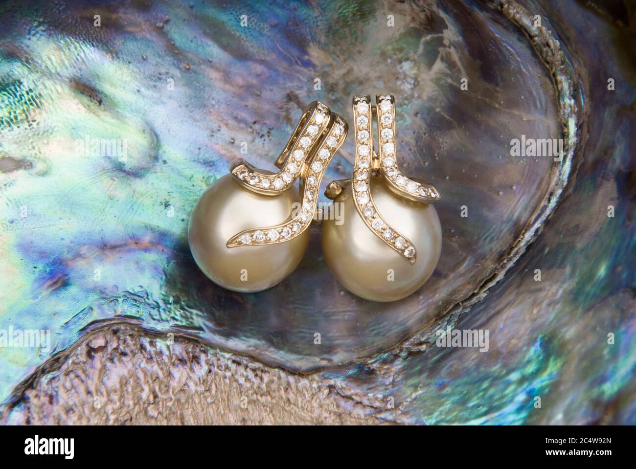 South Sea Golden Pearls Earrings With Diamonds On Mother of Pearl shell ...