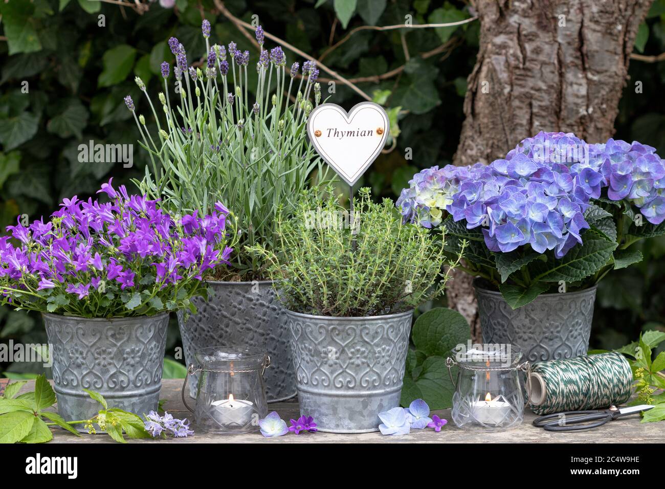 herbs and summer flowers in zinc pots as vintage garden decoration ...