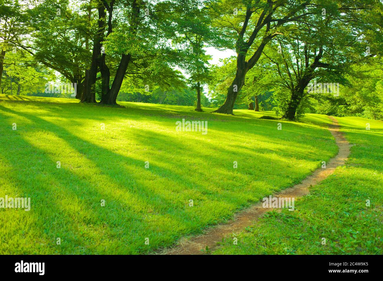 Wide lawn path hi-res stock photography and images - Alamy