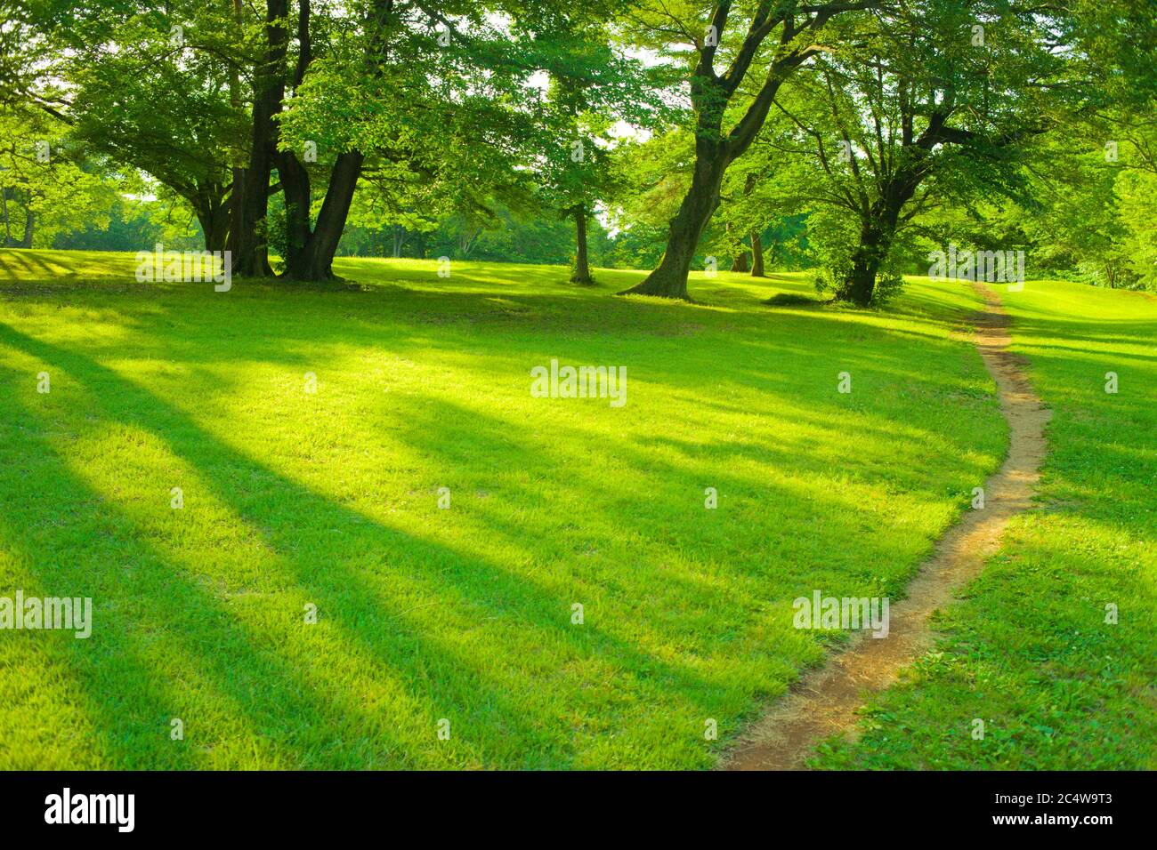 Wide lawn path hi-res stock photography and images - Alamy