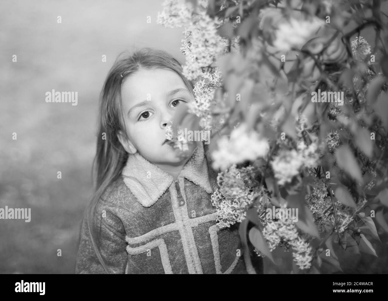 portrait of a sad boy Stock Photo - Alamy