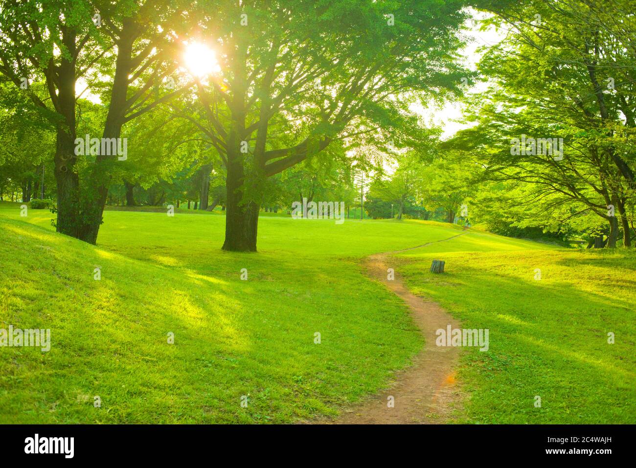 Wide lawn path hi-res stock photography and images - Alamy