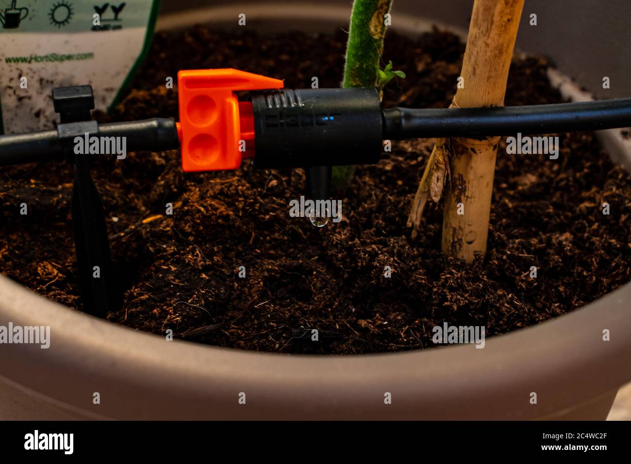 A drop of water from a drip irrigation system Stock Photo - Alamy
