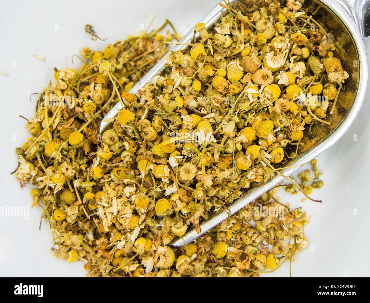 Dried chamomile grass hi-res stock photography and images - Alamy