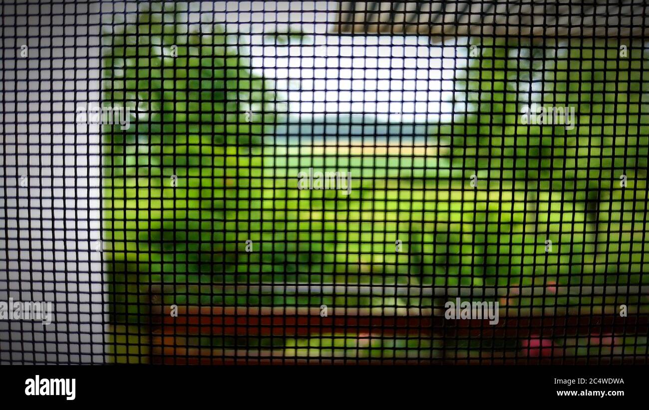 Park seen behind the black window net - perfect for background Stock ...