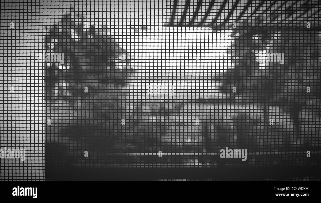 Twin Silo Park Fort in USA seen behind the black window net Stock Photo ...