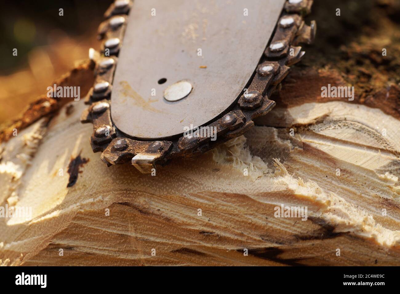 Chainsaw chain bar hi-res stock photography and images - Alamy