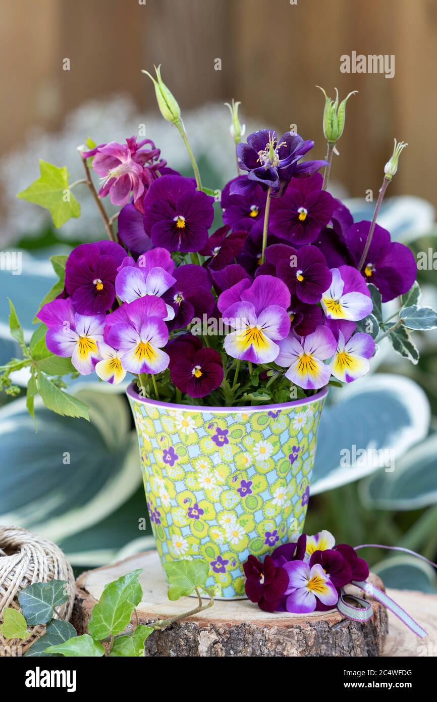 Viola bouquet hi-res stock photography and images - Alamy