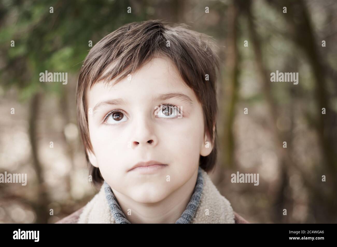 portrait of a boy outdoor Stock Photo - Alamy