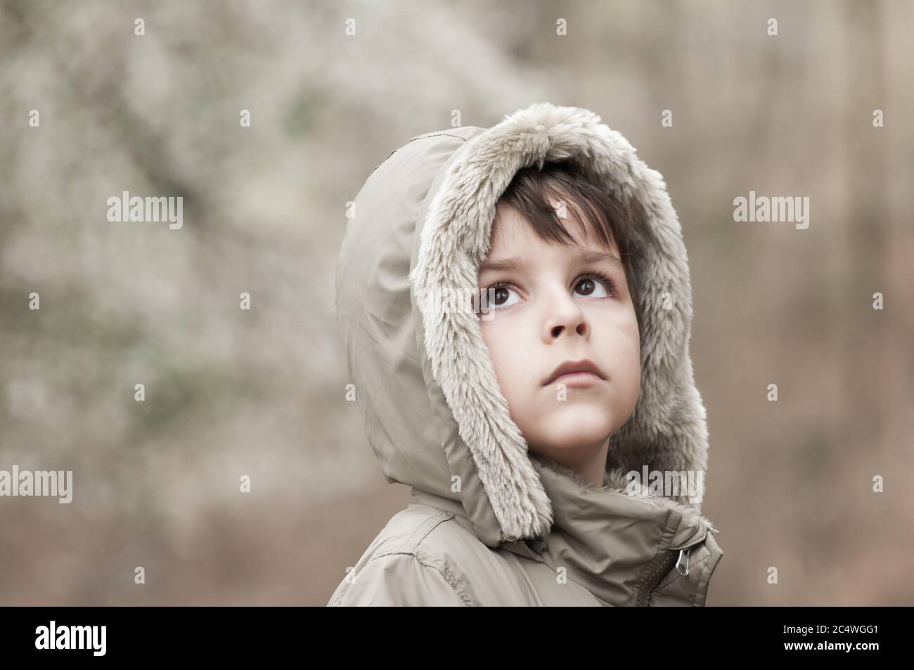 portrait of a boy outdoor Stock Photo - Alamy