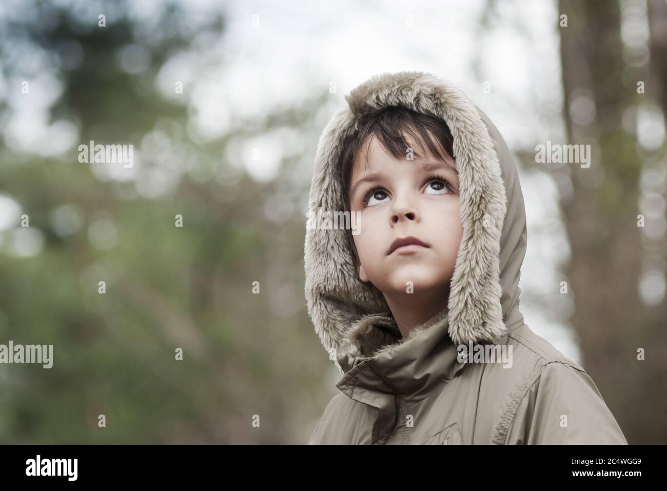 portrait of a boy outdoor Stock Photo - Alamy