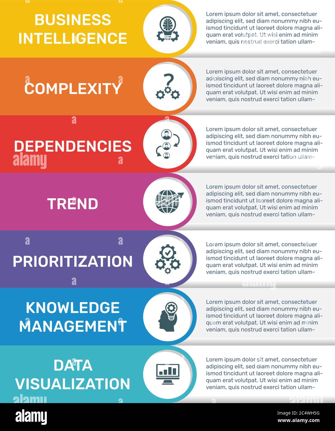 Business Intelligence Infographic