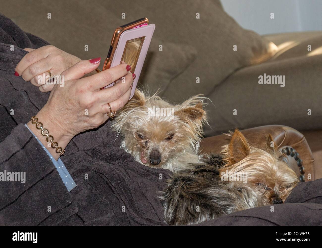 Elderly caucasian woman's hands operating a smartphone with two small ...