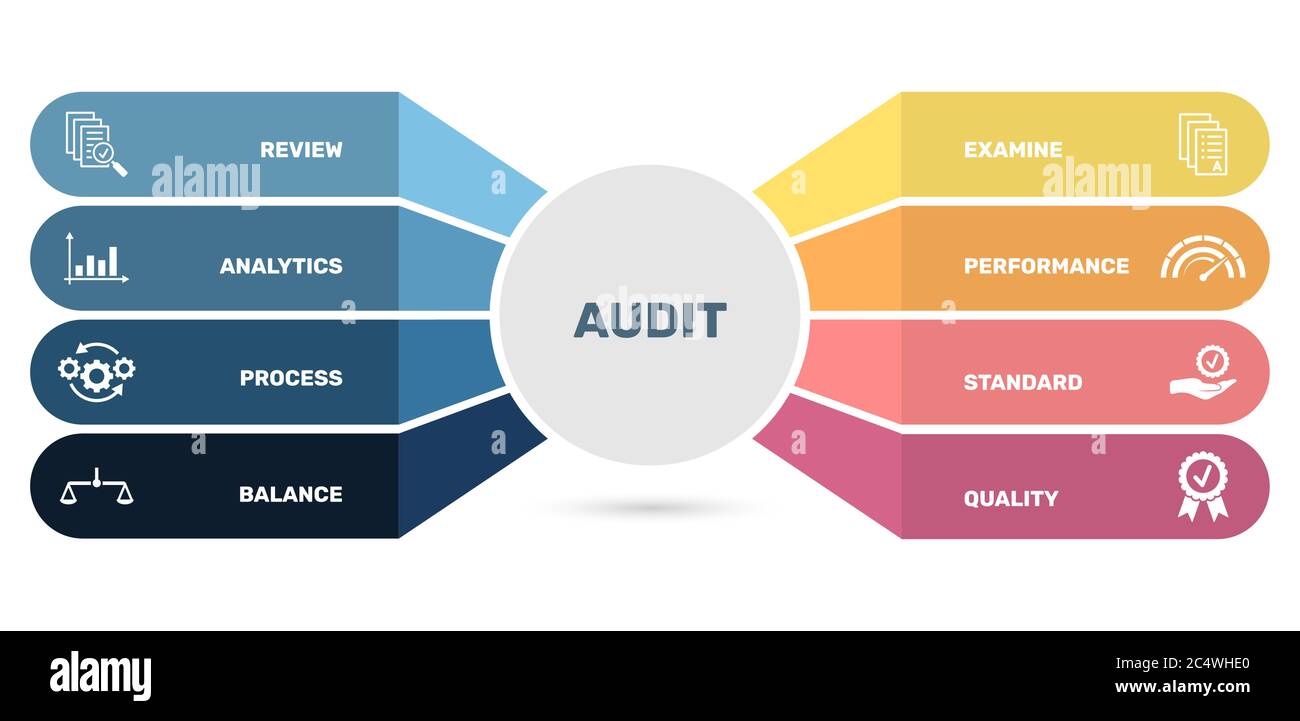 Vector infographic template Audit template. Can be used for process ...