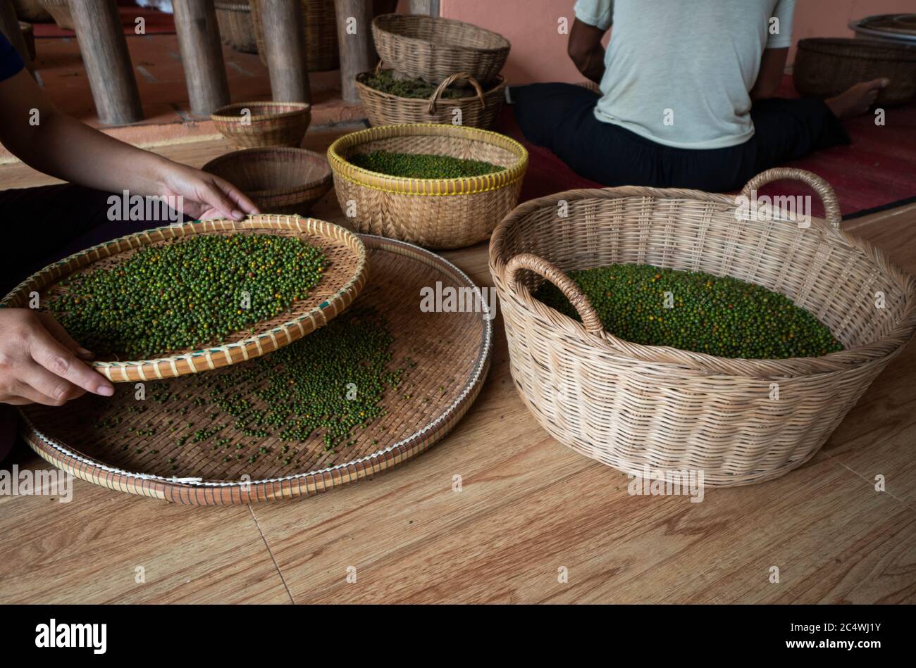 Piper nigrum drying hi-res stock photography and images - Alamy