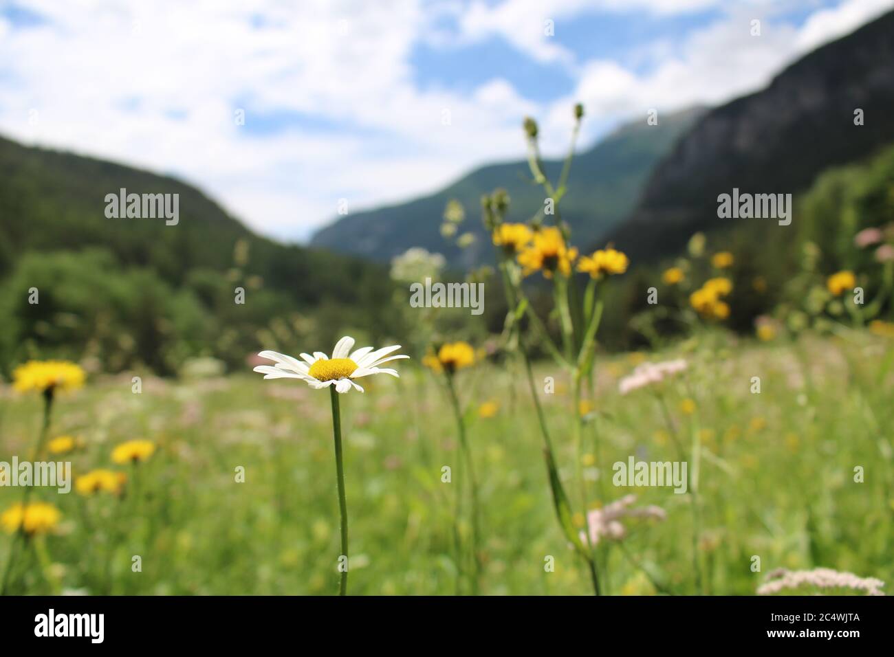 Queyras hi-res stock photography and images - Alamy