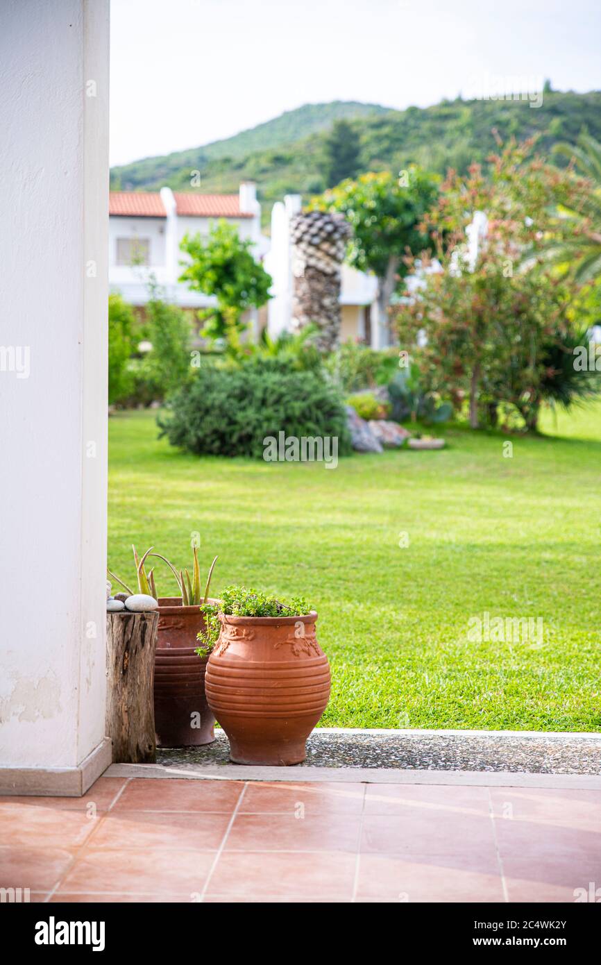 Ancient Greek flower pot with a garden view in summer Stock Photo - Alamy