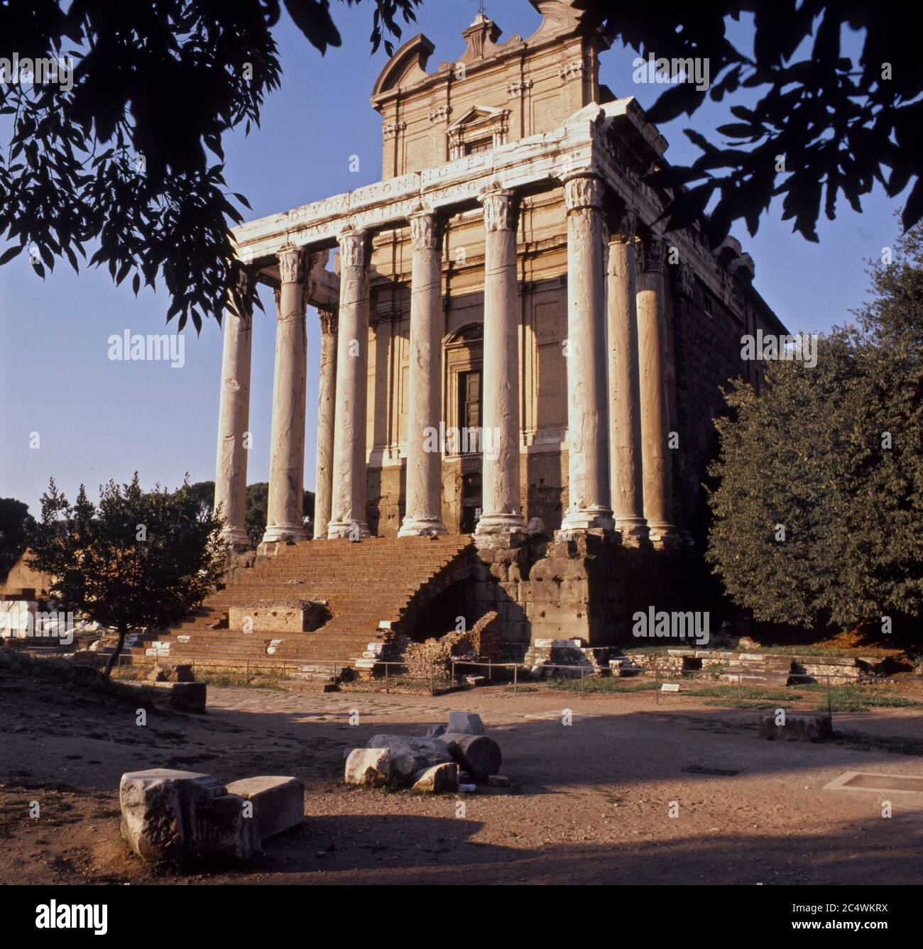 Temple of Antonius and Faustina Stock Photo - Alamy