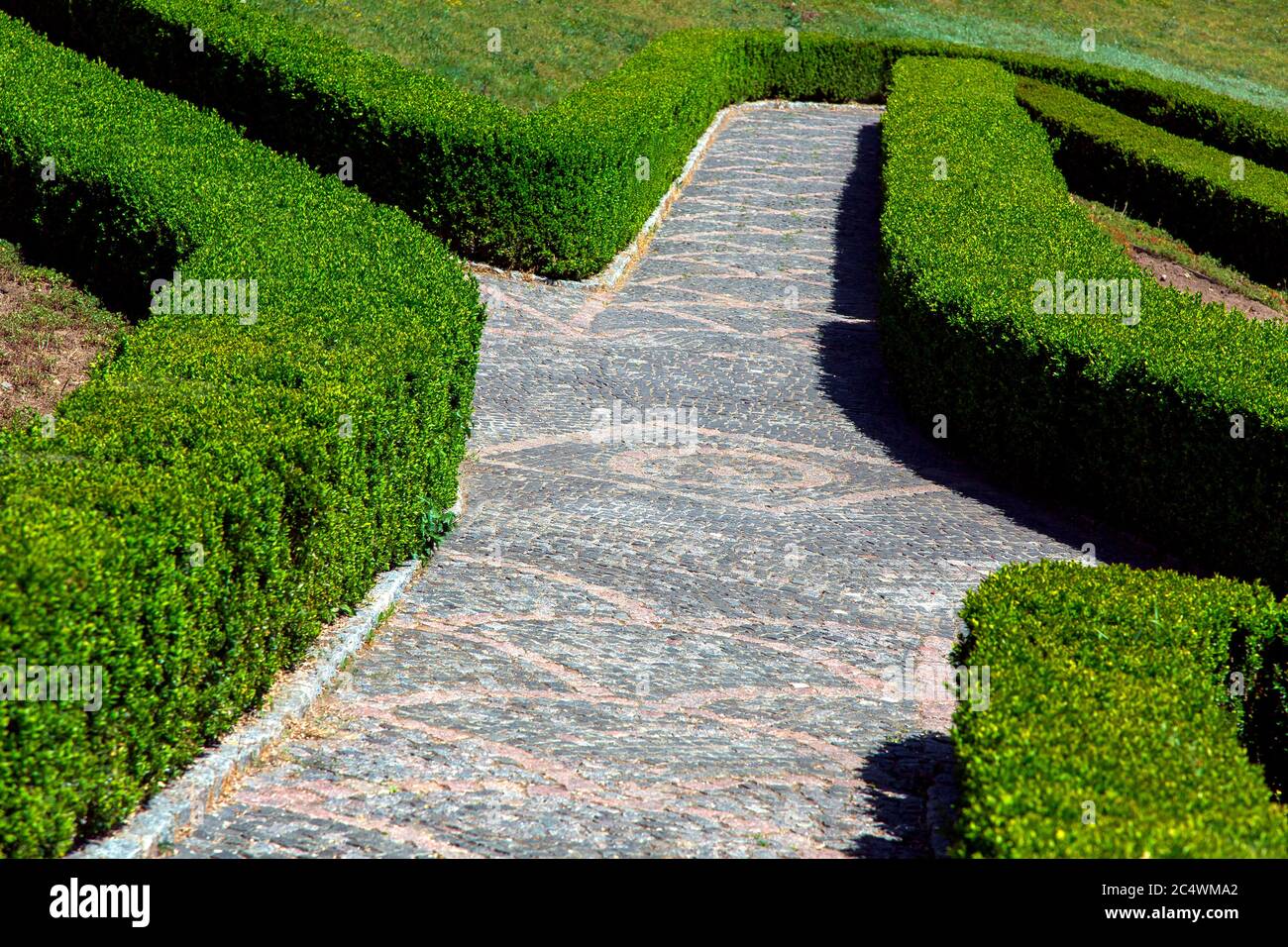 Pavement with a green hedge in the garden, pavers lined with a pattern ...