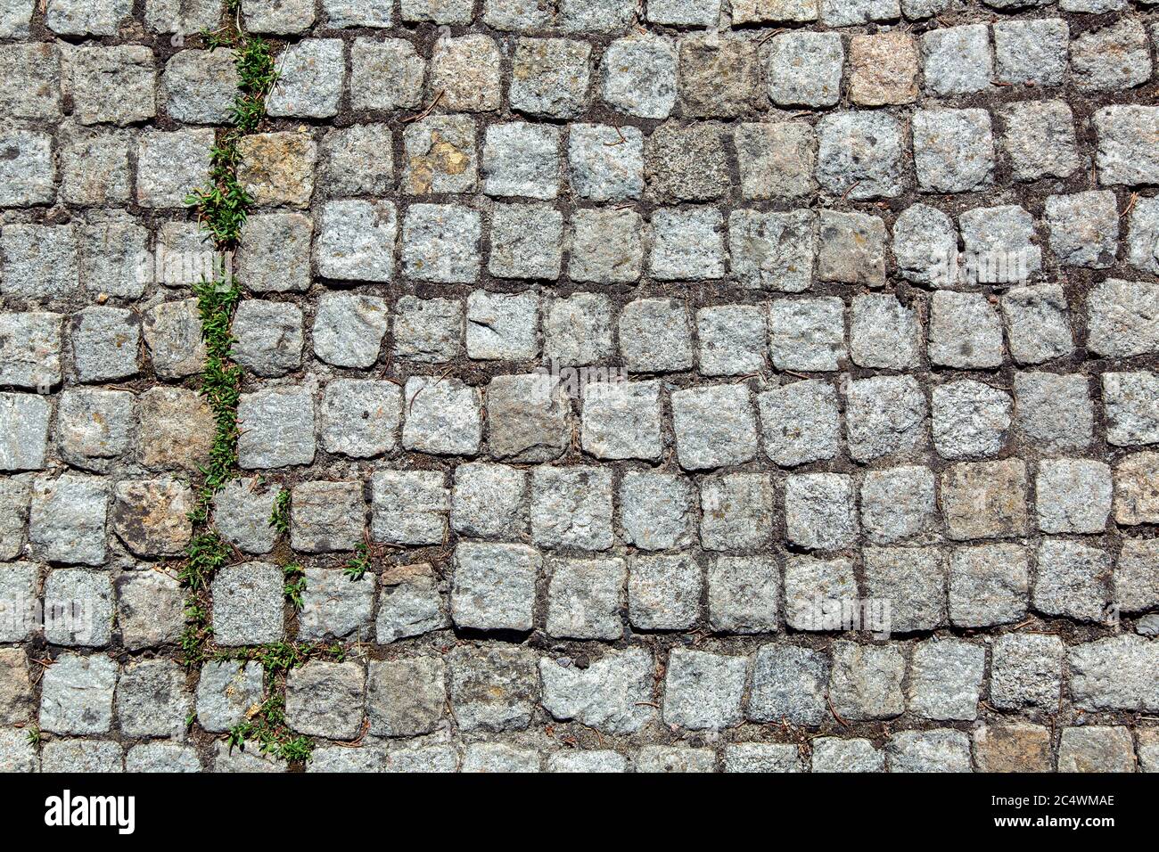 A sidewalk made of granite stone, a road with a pattern of square tiles ...