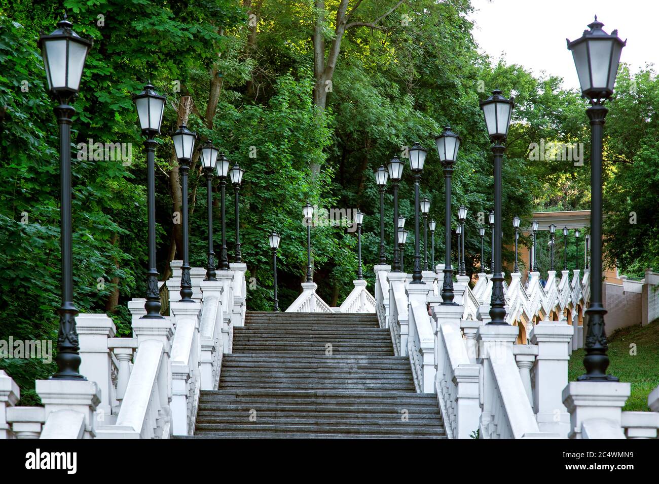 A staircase with a rise up around the green trees and along the steps ...