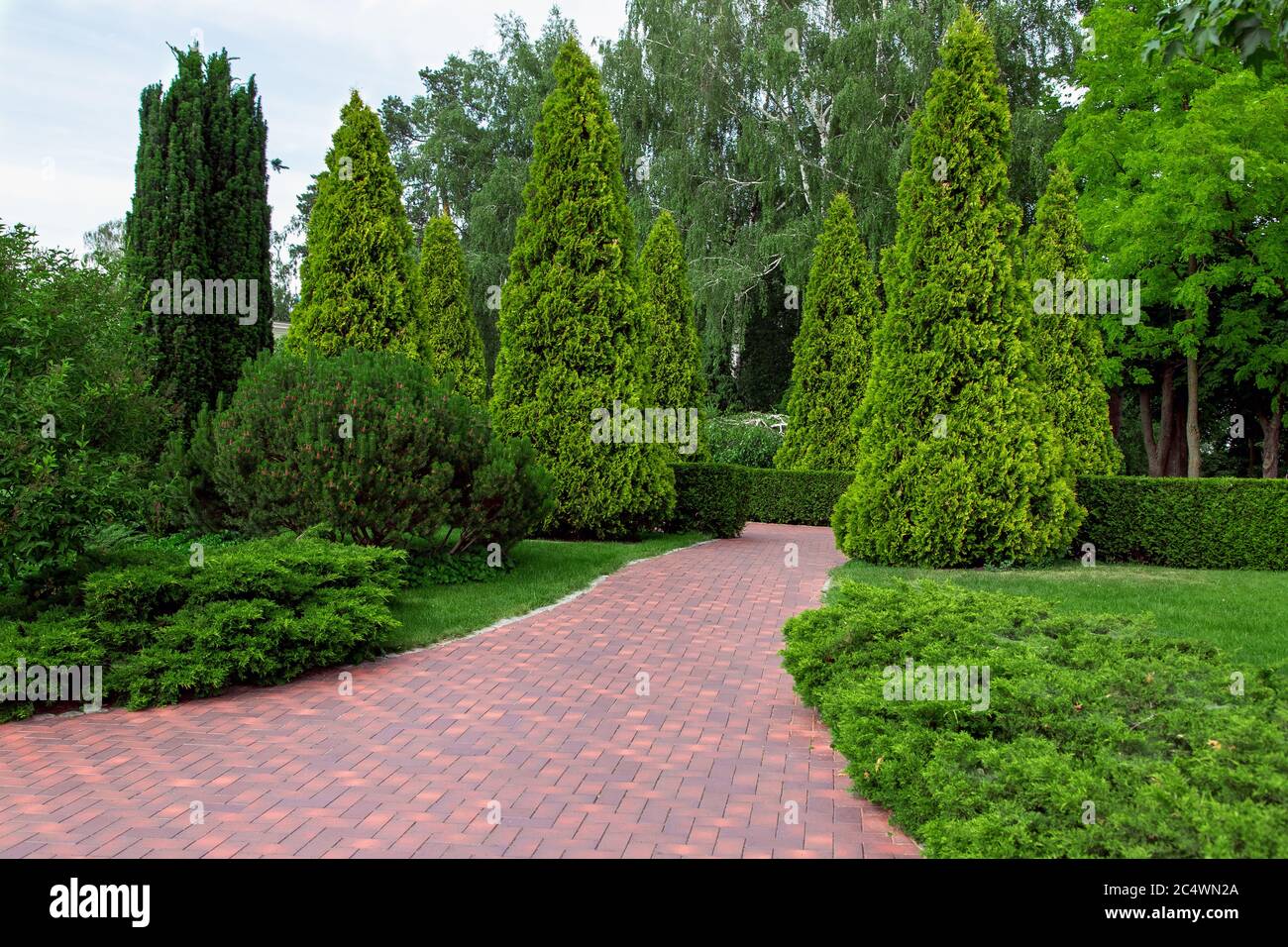 Pedestrian sidewalk in a park area with evergreen plants trees and ...