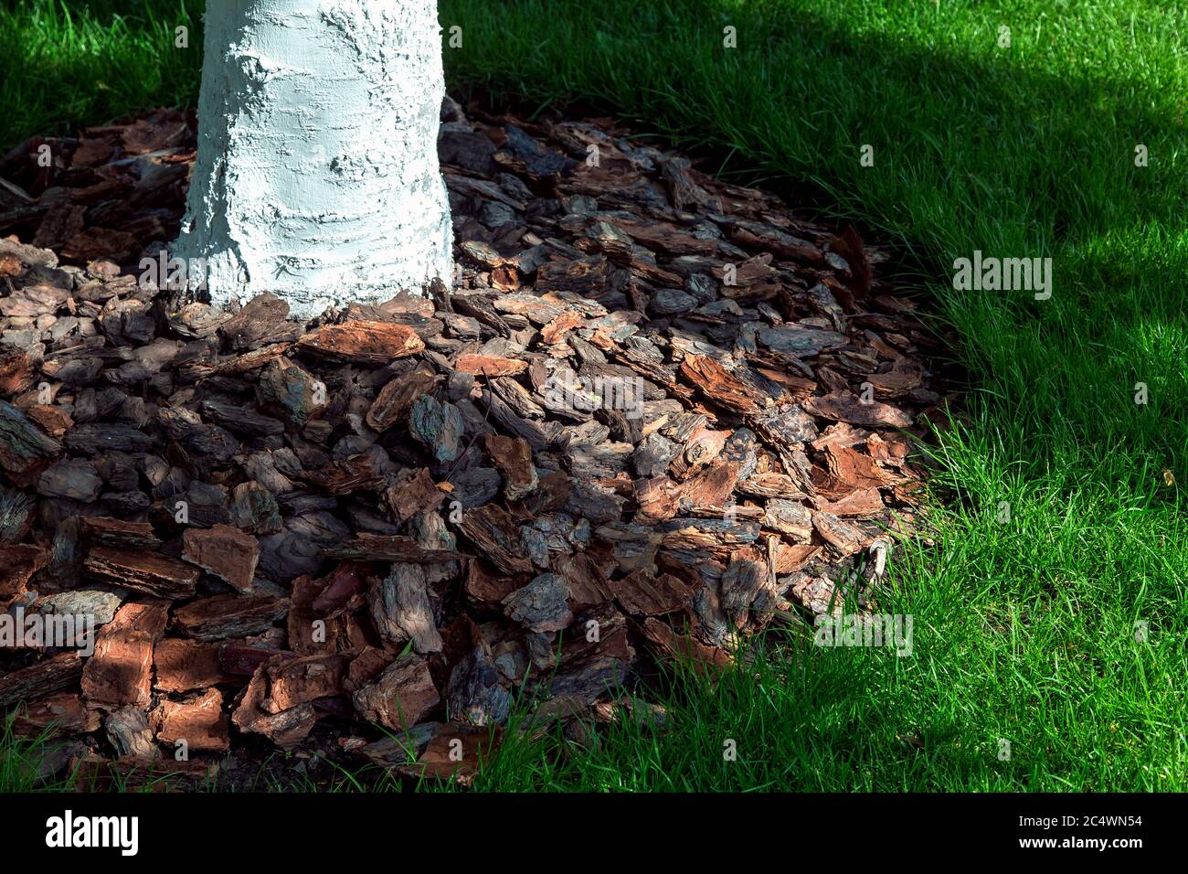 Mulching tree bark under hi-res stock photography and images - Alamy