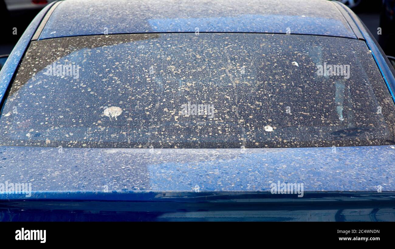 rear view of a dirty car window covered with a layer of dry dust ...