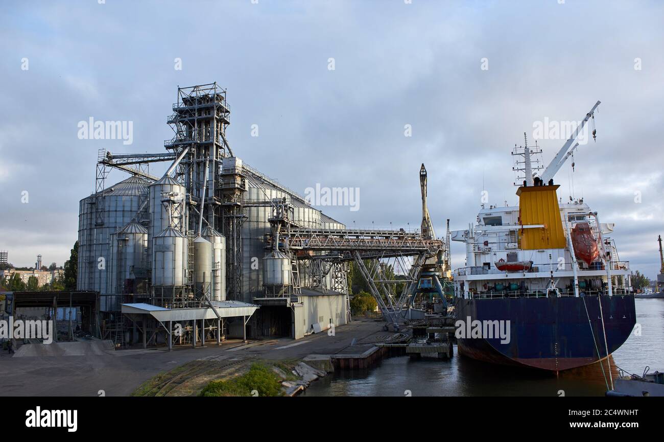 Big grain terminal at seaport. Cereals bulk transshipment from road ...