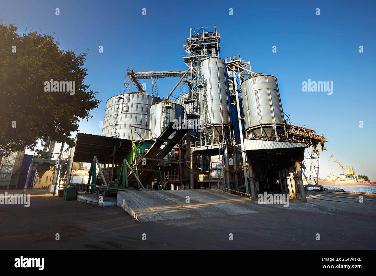 Unloading grain truck at elevator on elevating hydraulic platform ...