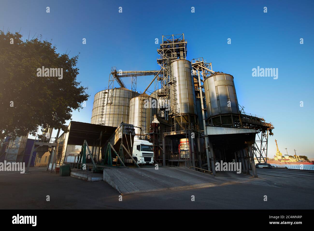 Unloading grain truck at elevator on elevating hydraulic platform ...