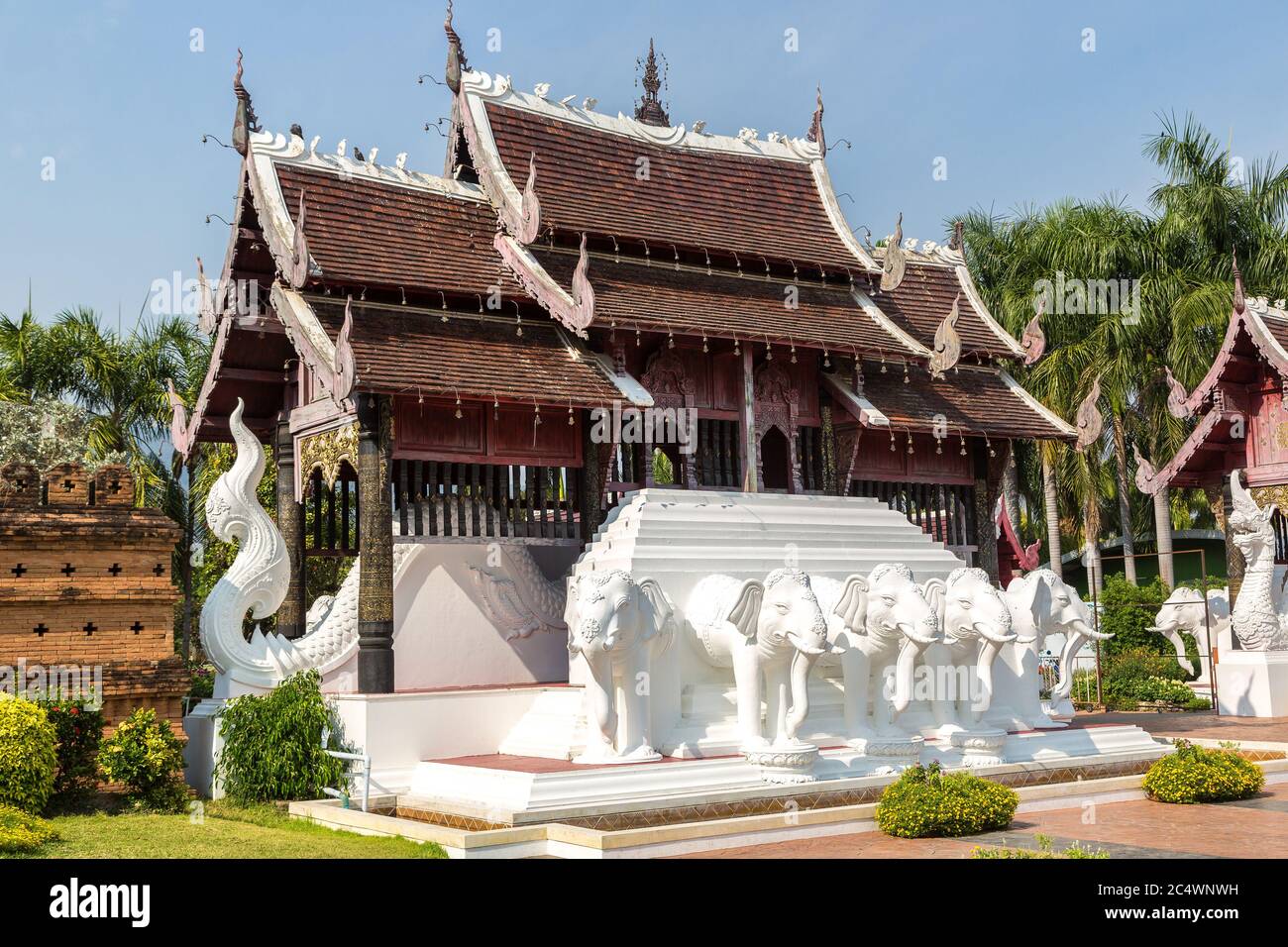 Royal park ratchaphruek hi-res stock photography and images - Alamy