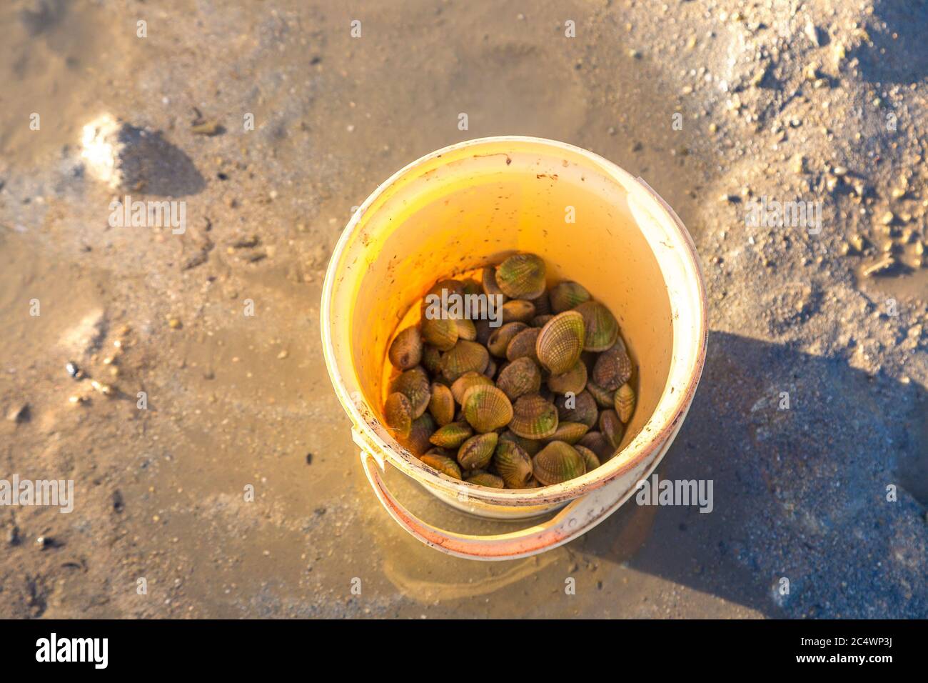 Clam shell bucket hi-res stock photography and images - Alamy