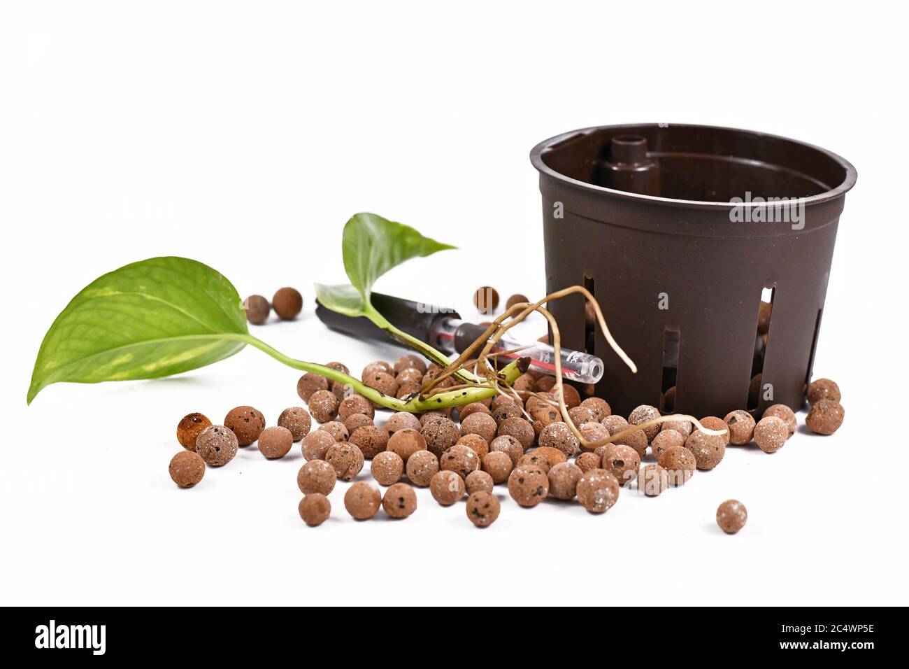 Propagation in water Cut Out Stock Images & Pictures - Alamy