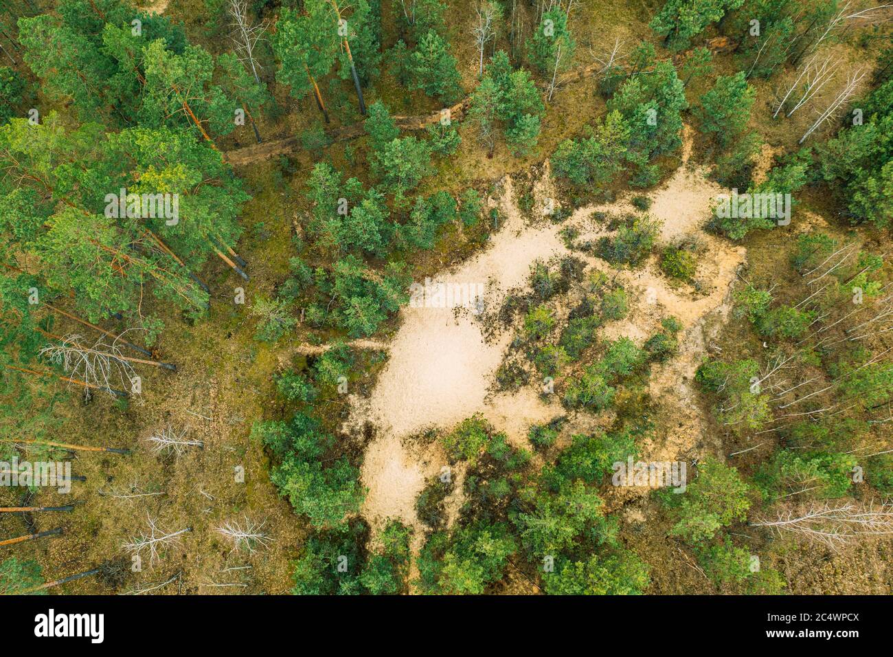 Afforestation High Resolution Stock Photography and Images - Alamy