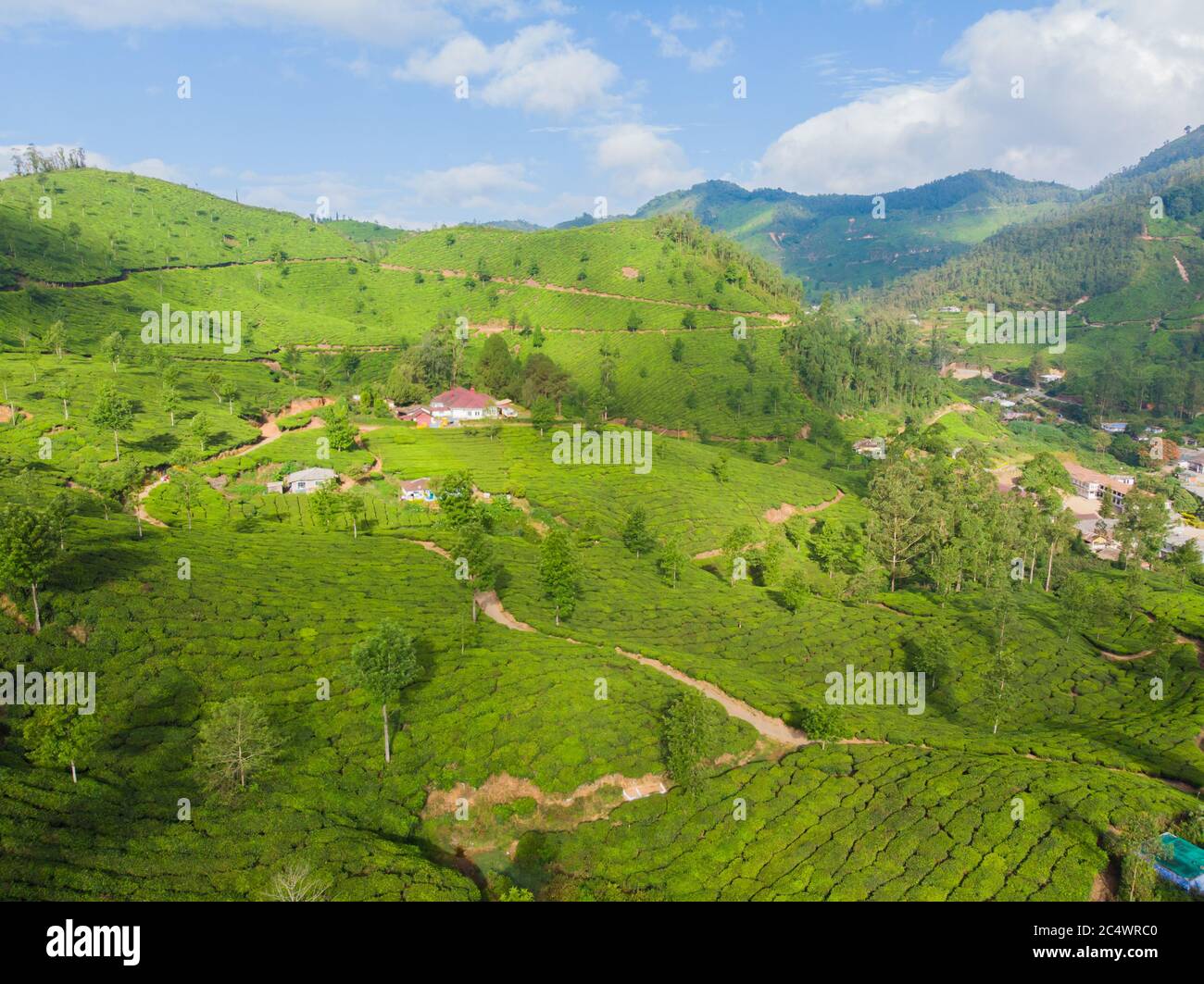 Aerial view of tea plantations near the city of Munar. India Stock ...